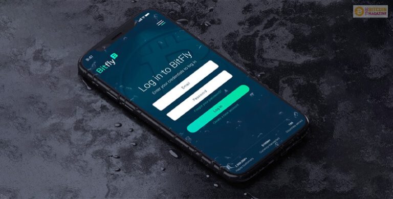 Bitfly: Everything You Need To Know